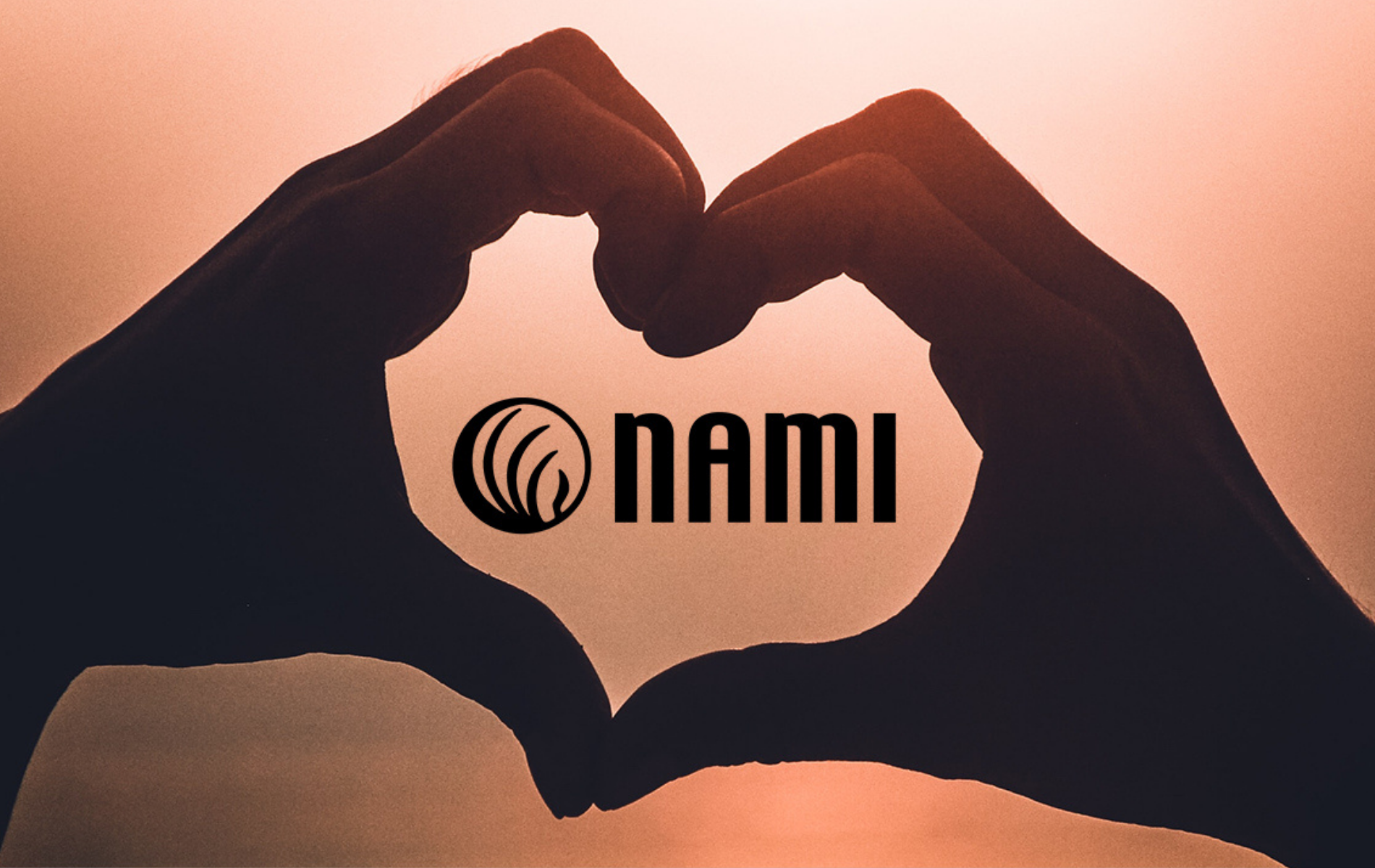 Helping NAMI This Giving Tuesday – Awe Inspired
